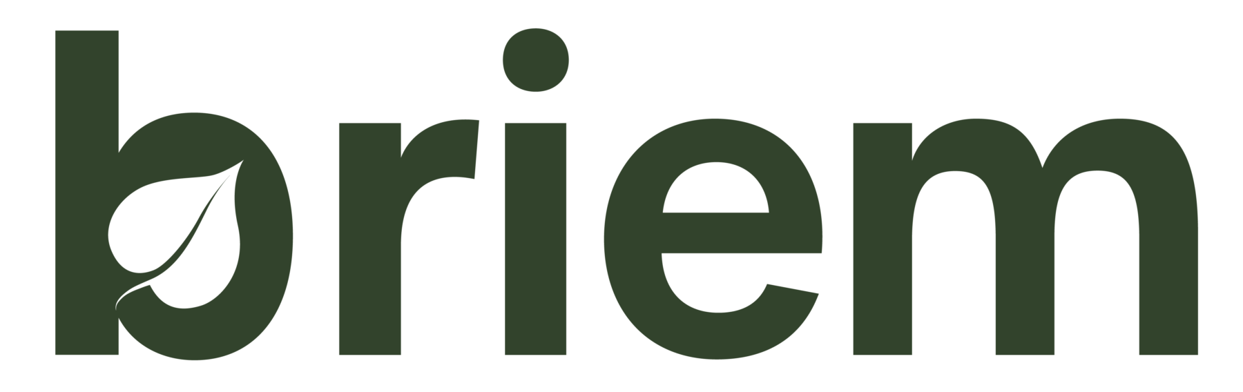 Briem Garten. Gestaltung. – Start