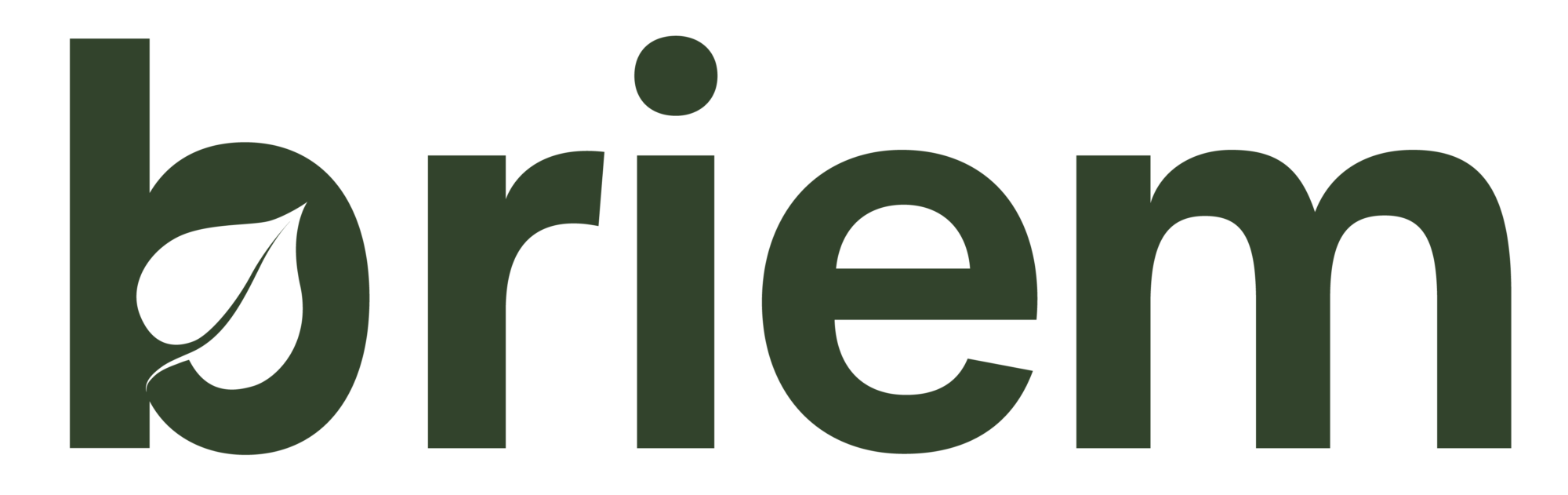 Briem Garten. Gestaltung. – Start